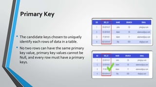 Presentation Datatbase Final.pptx