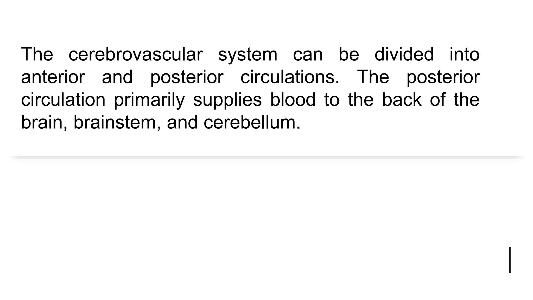 Posterior Circulation Anatomy For Dd Pptx