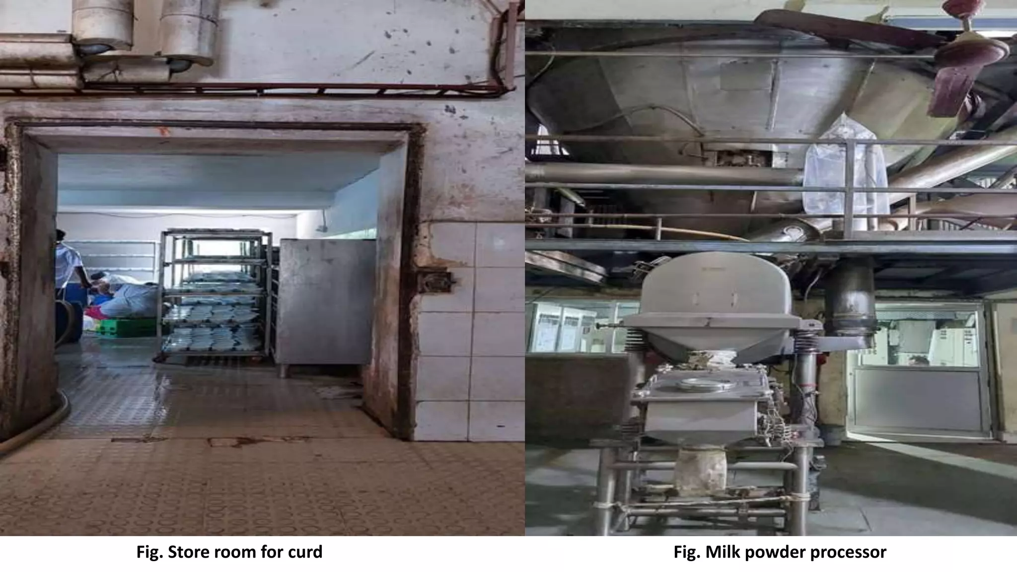 Presentation ddc.pptx