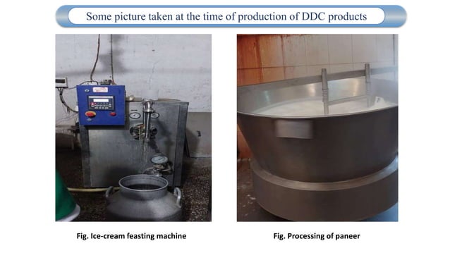 Presentation ddc.pptx | Agriculture | Industries