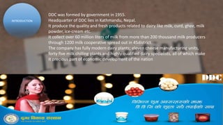 Presentation ddc.pptx