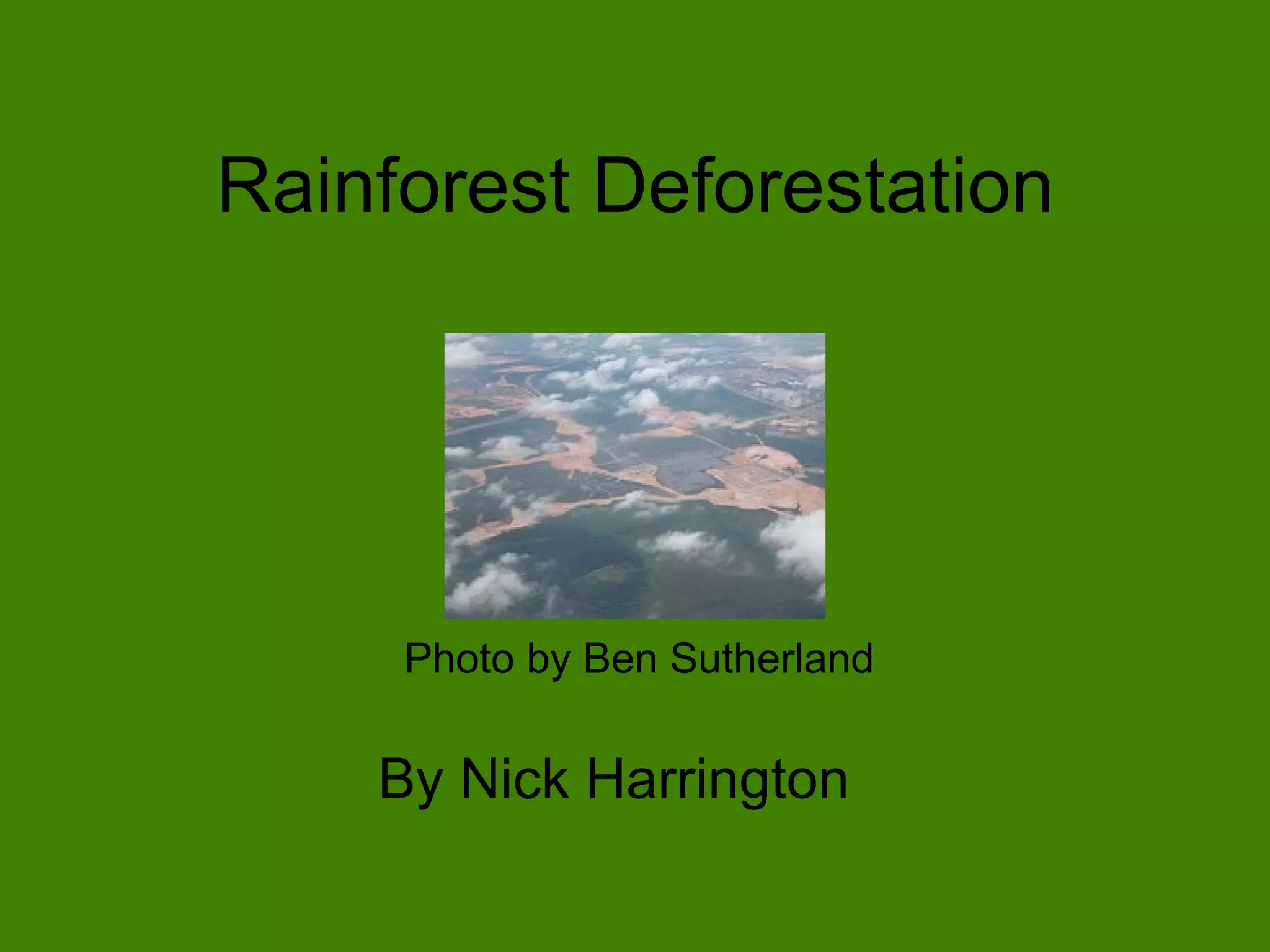 rainforest deforestation | PPT