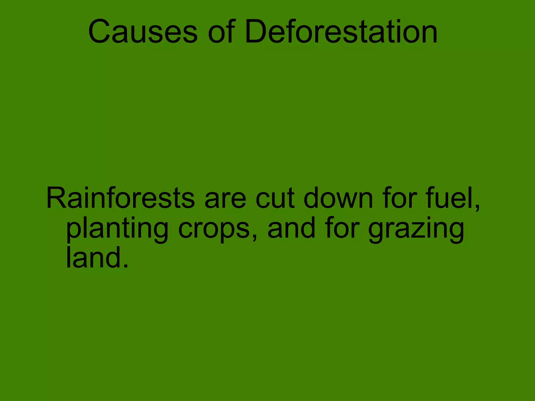 rainforest deforestation | PPT