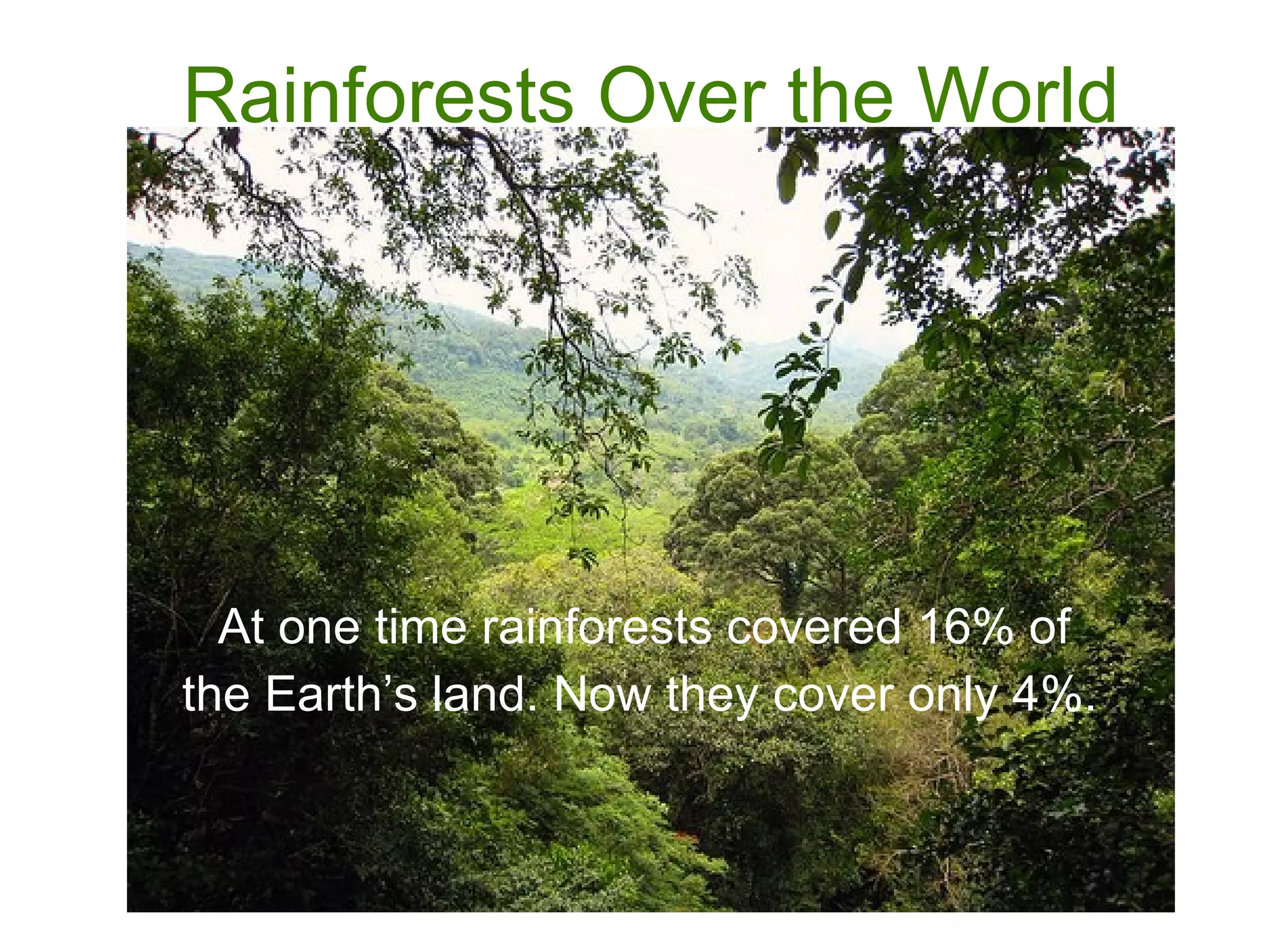 rainforest deforestation | PPT