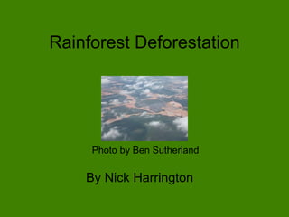 rainforest deforestation | PPT