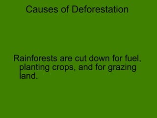 rainforest deforestation | PPT