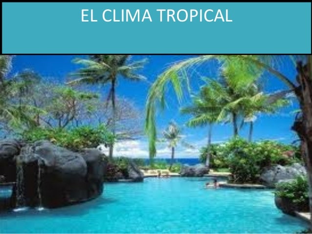 Imagenes De Climas Tropicales
