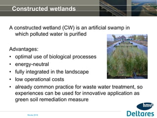 Constructed wetlands for remediation of plumes | PPT