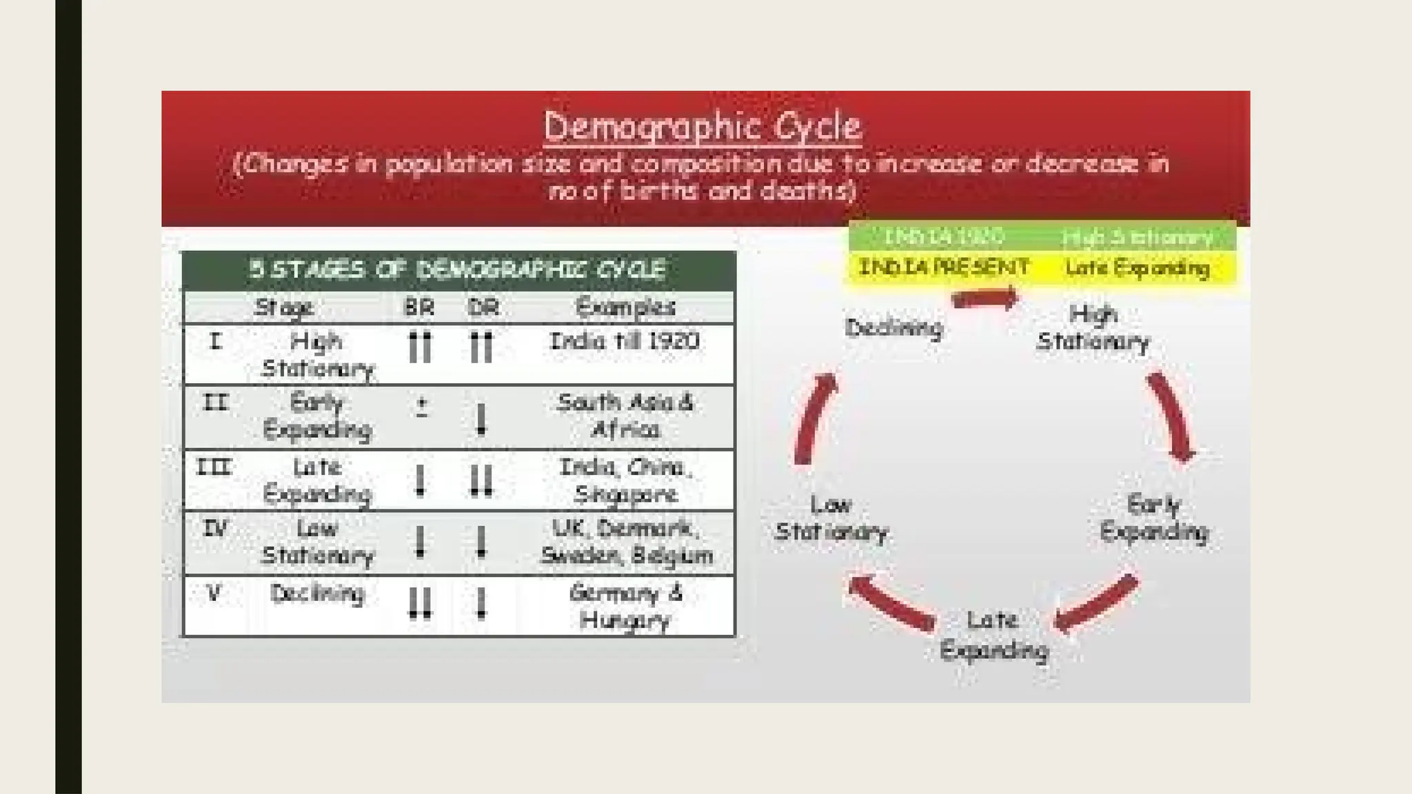 Study of demographics and population pyramid | PPTX