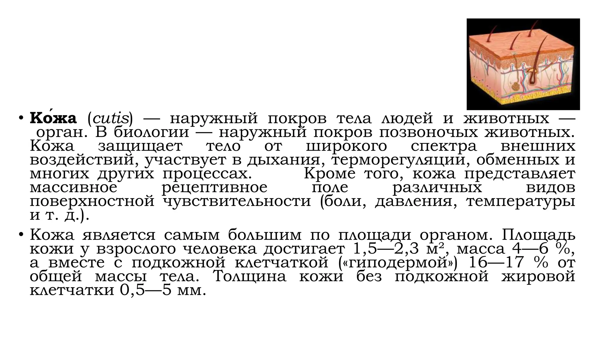 Presentation derma.pptx