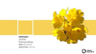 Presentation Design Tips - Pantone Best Colors To Use In 2017 | PDF