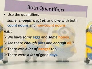 Noun and Quantifiers | PPTX