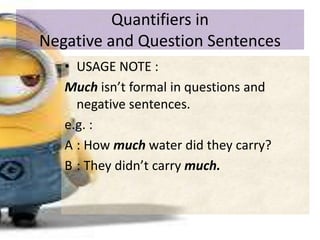 Noun and Quantifiers | PPTX