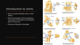 Joints | PPT