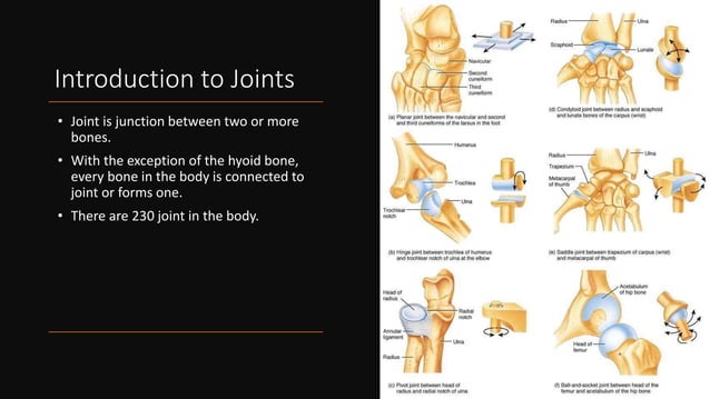 Joints | PPT