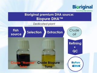 Presentation dha | PPT