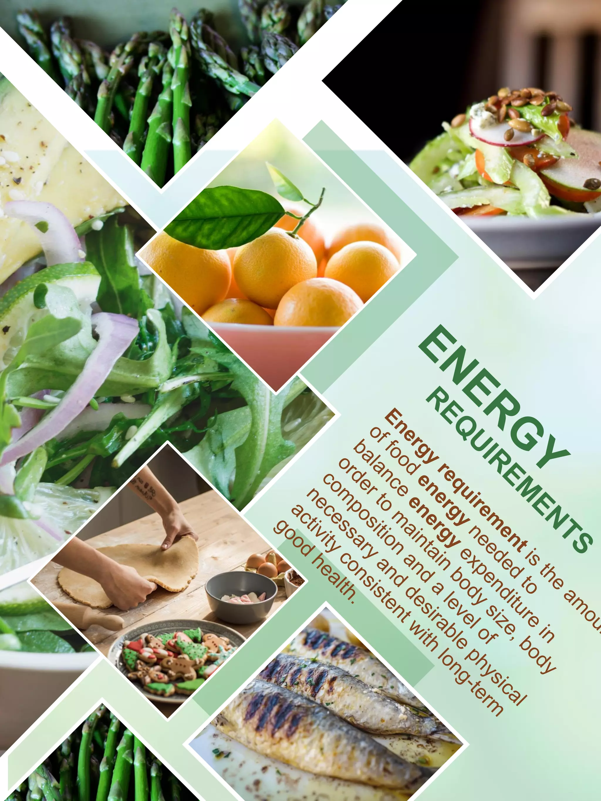 RDA recommended dietary allowance | PDF