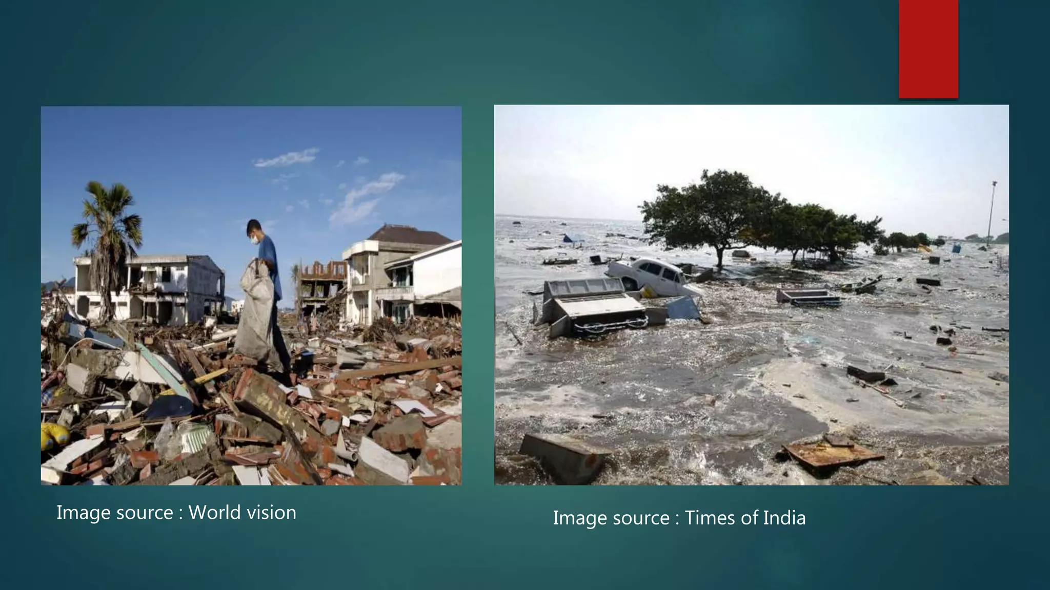 The Indian Ocean Tsunami, 2004 | PPTX