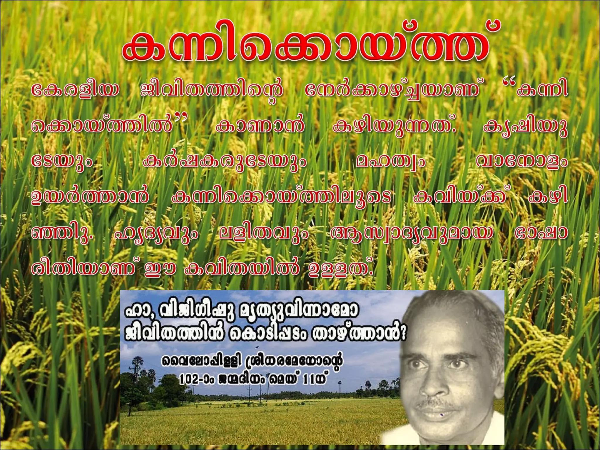 Presentationdivya 140826061147-phpapp01 | PPT