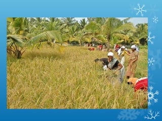 Presentation divya | PPT