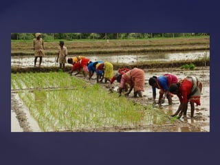 Presentation divya | PPT