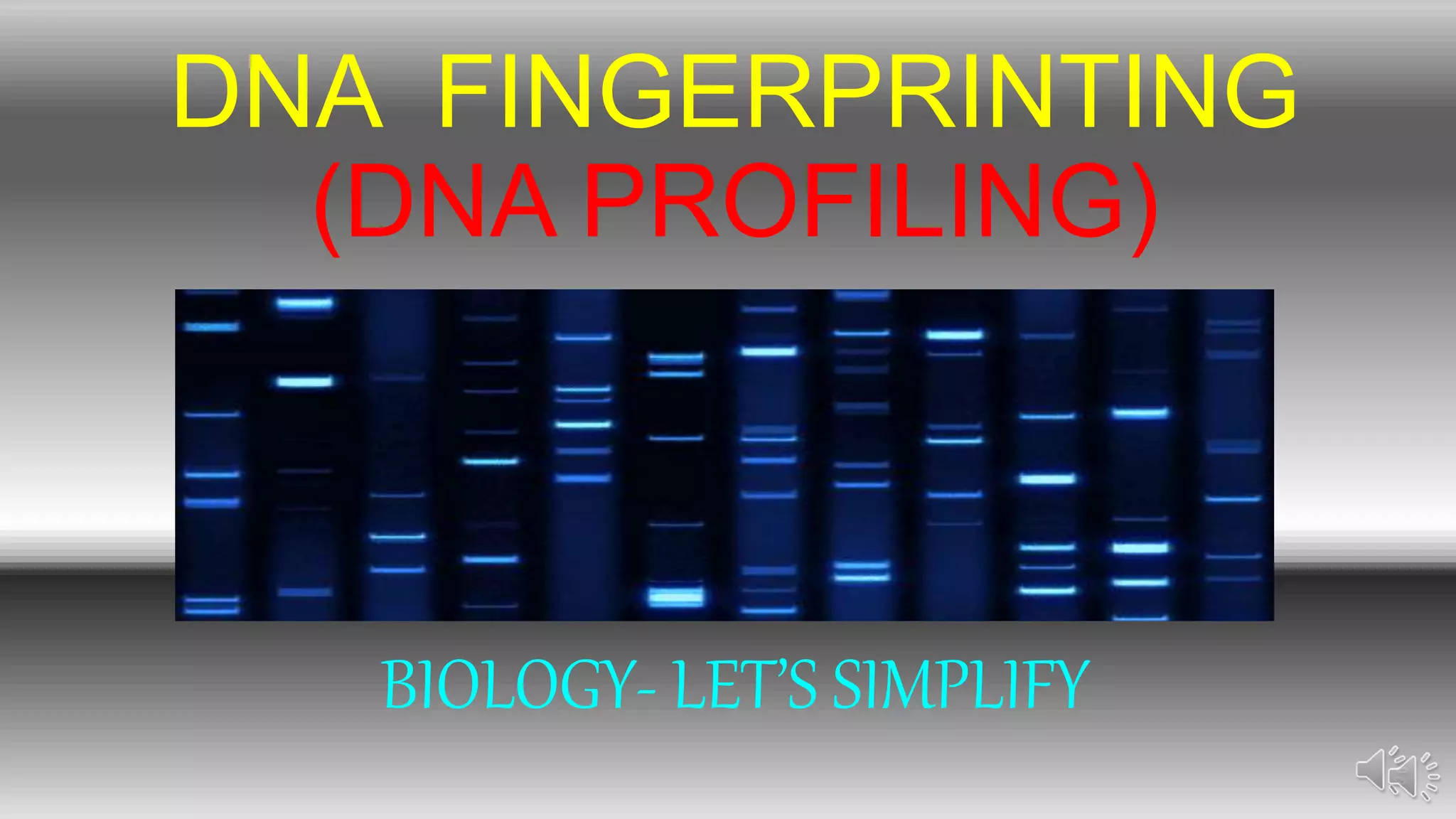 Molecular Basis of Inheritance : DNA Profiling : Brief History and ...