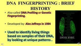 Molecular Basis of Inheritance : DNA Profiling : Brief History and ...