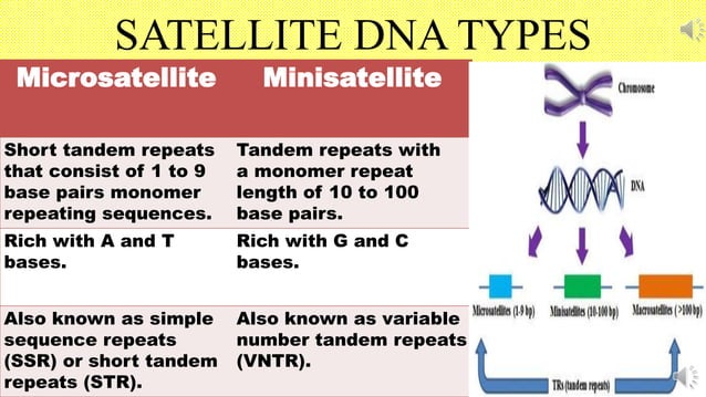 Molecular Basis of Inheritance : DNA Profiling : Brief History and ...