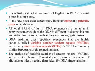 DNA Fingerprinting | PPTX
