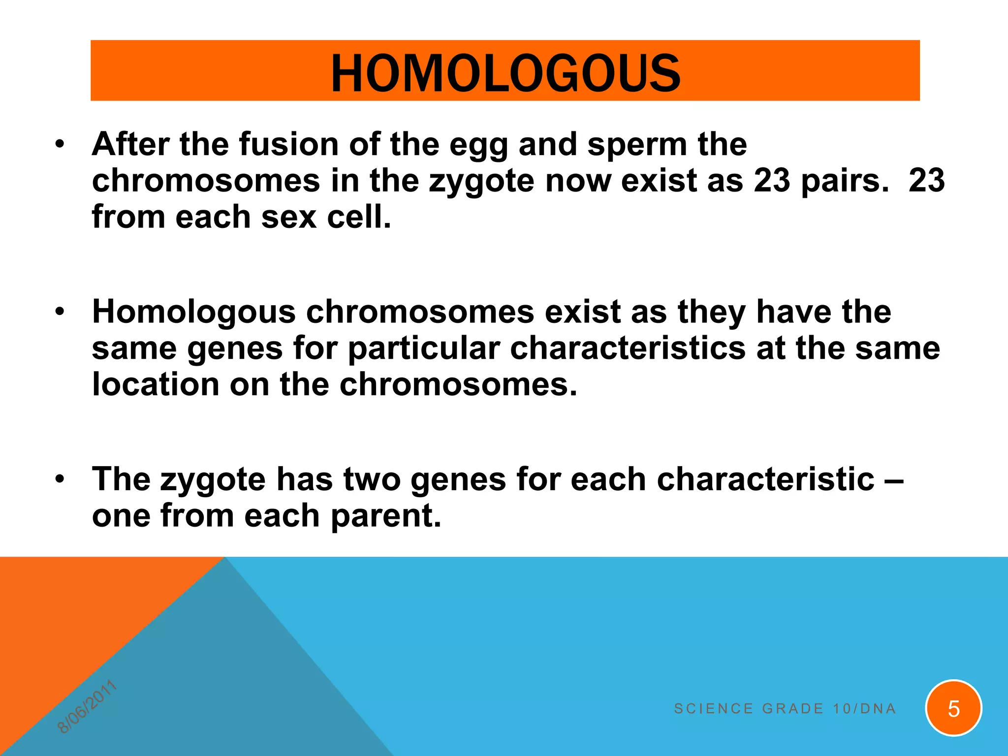 Presentation dna grade 10 | PPTX