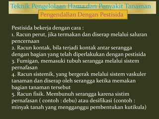 Pengelolaan Hama Terpadu novia anjani | PPTX