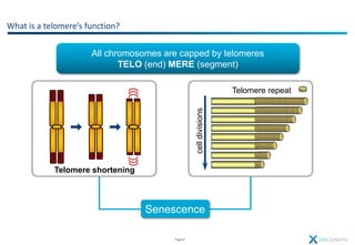 The connection between Telomeres and Aging-Dr. Patana teng-umnuay | PDF ...