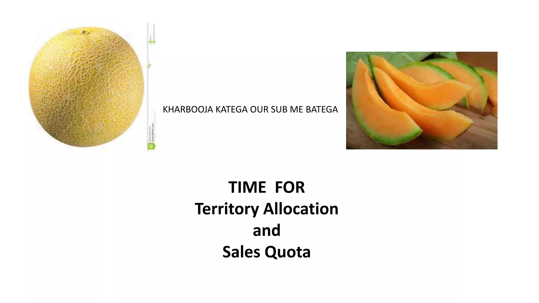 ALLOCATION OF SALES TERRITORIES & SALES QUOTA | PPT