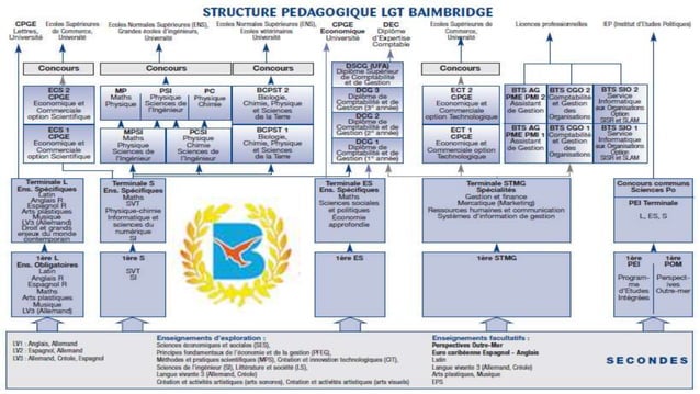 Presentation du lgt baimbridge | PPTX