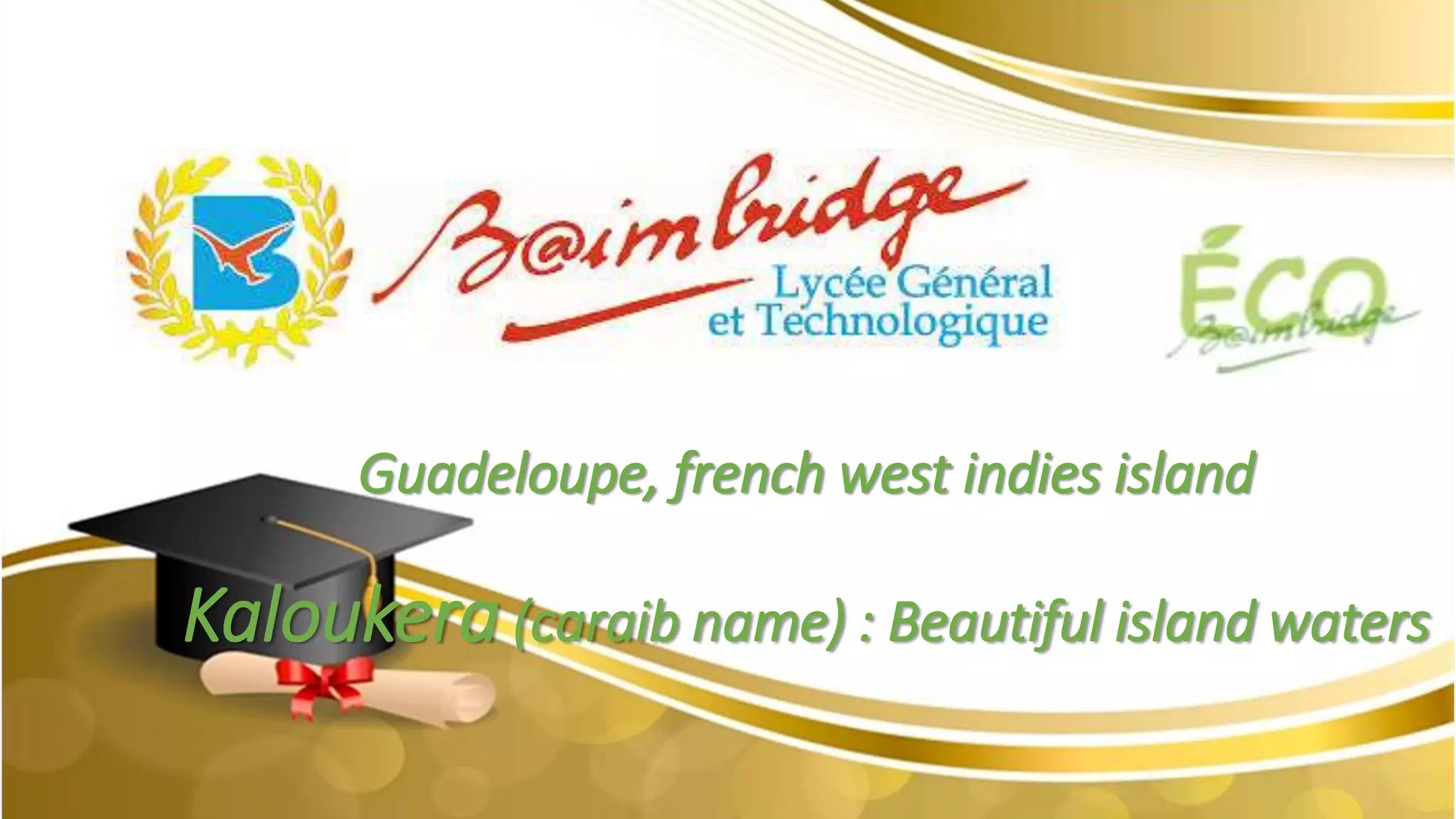 Presentation du lgt baimbridge | PPT