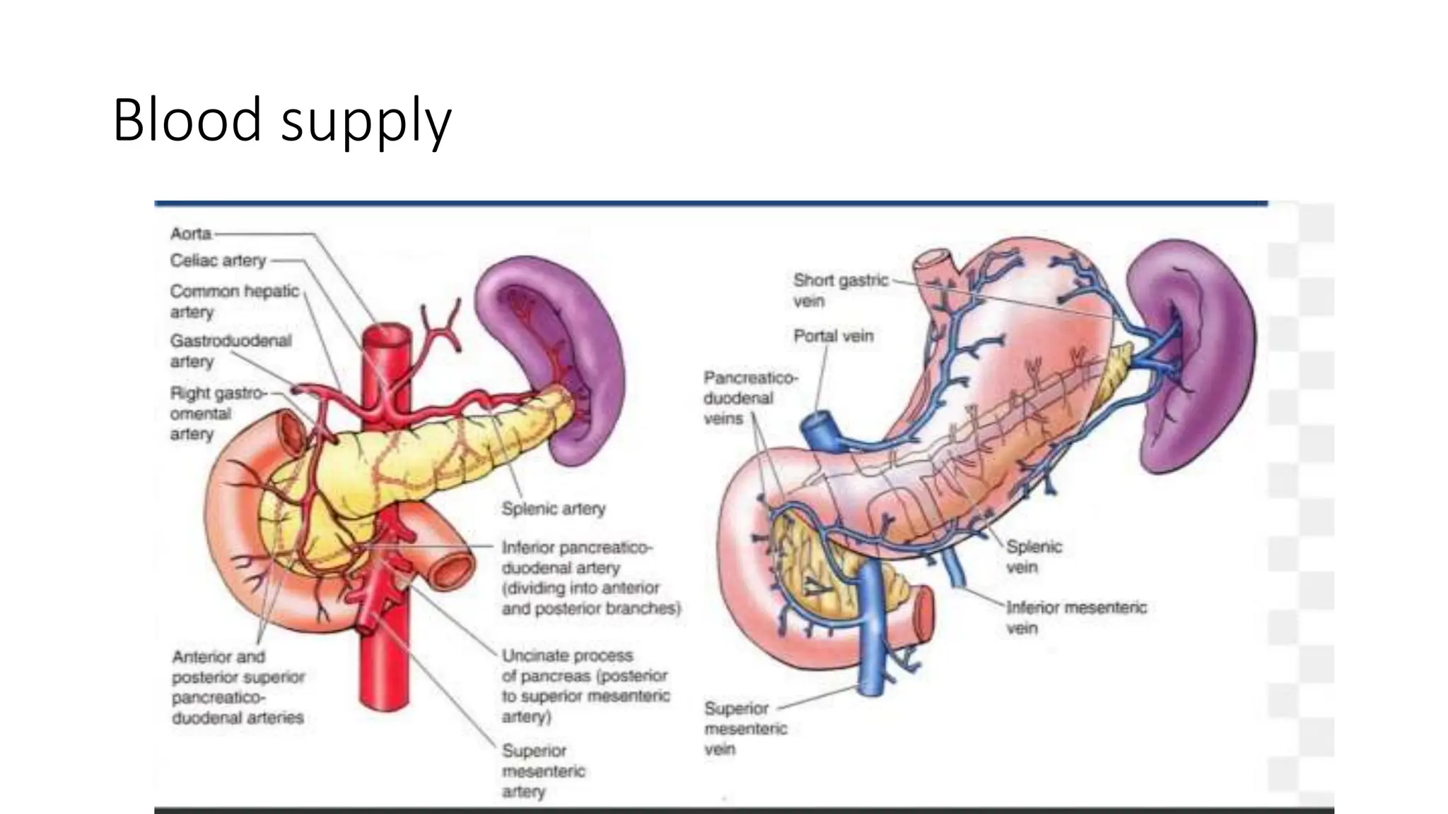 Presentation duodenal perforation.pptx