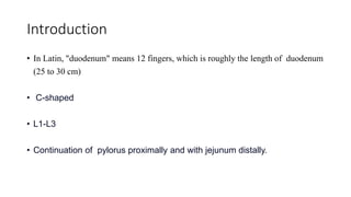 Presentation duodenal perforation.pptx