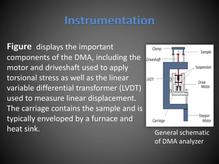 Presentation dynamic mechanical analysis (dma) | PPTX