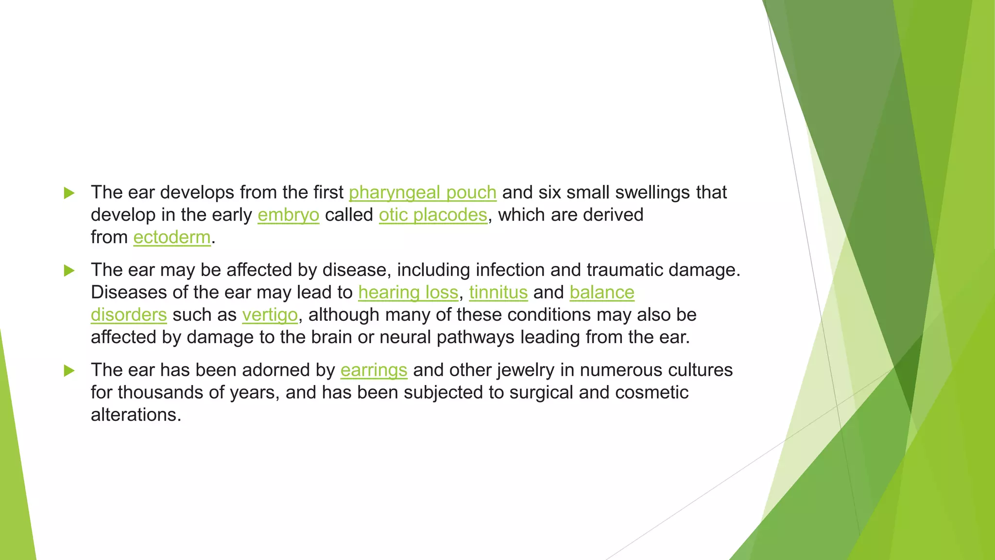 Presentation Ear.pptx
