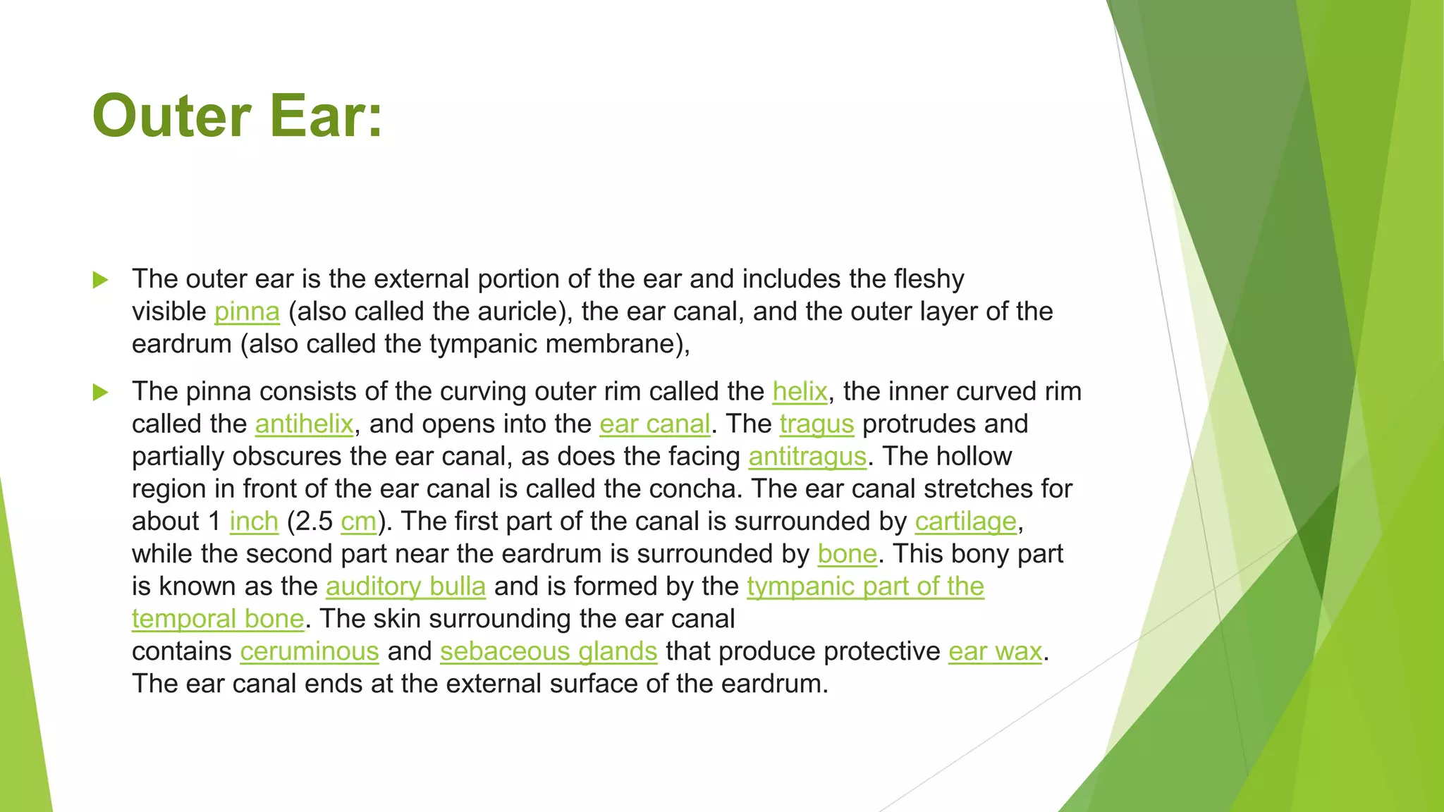 Presentation Ear.pptx