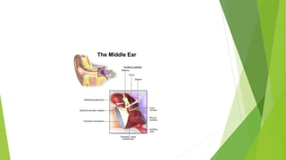 Presentation Ear.pptx