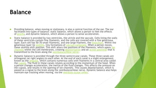 Presentation Ear.pptx