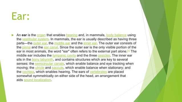 Presentation Ear.pptx