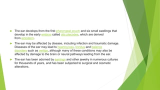 Presentation Ear.pptx