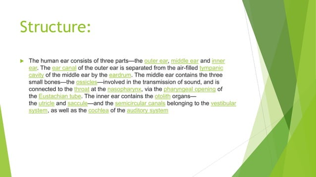 Presentation Ear.pptx