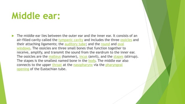 Presentation Ear.pptx
