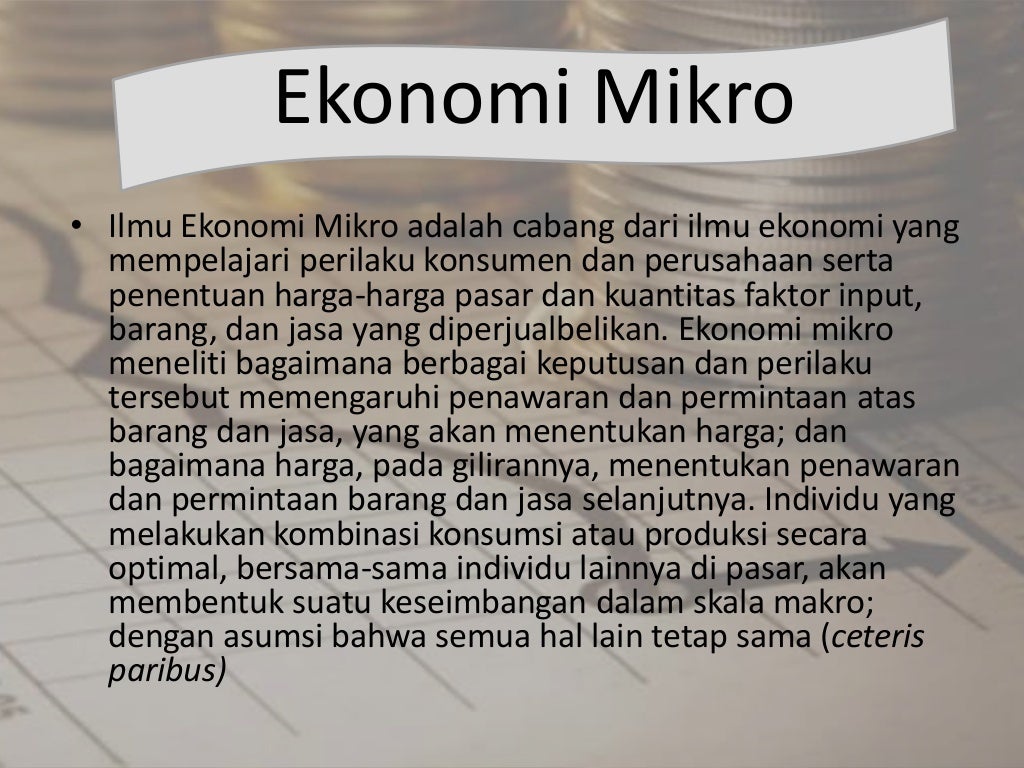 Makro Dan Mikro Ekonomi