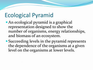 presentation_ecological_pyramids_1445500393_136286.ppt