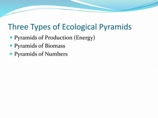 presentation_ecological_pyramids_1445500393_136286.ppt