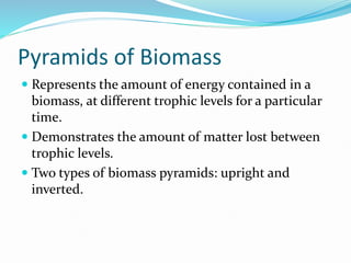 presentation_ecological_pyramids_1445500393_136286.ppt